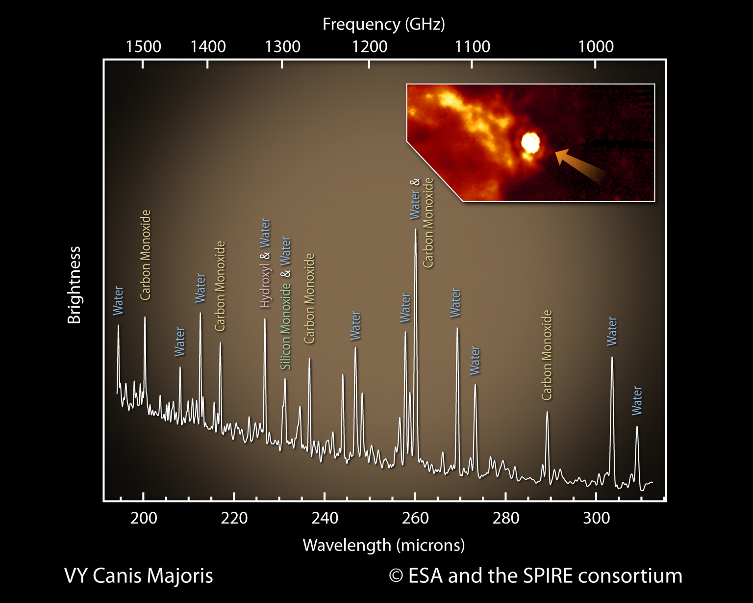 Spectrum of massive star VY Canis Majoris – Herschel Space Observatory